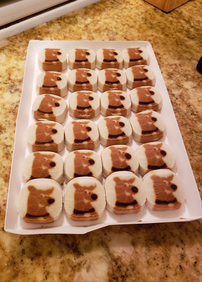 What We’re Eating: Scooby-Doo Sugar Cookies – The Couch Bandits